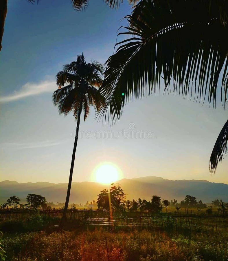 Greet the Morning Sun in the Village Stock Illustration - Illustration ...