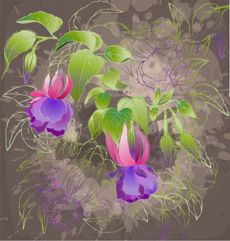 Greeting Card with Fuchsia. Illustration Fuchsia Stock Vector ...