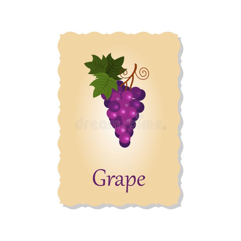 Card with grape leaves. stock vector. Illustration of abstract - 31748092