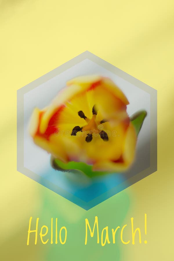 Greeting Card Hello March Welcome Card the Beginning of Spring Stock ...
