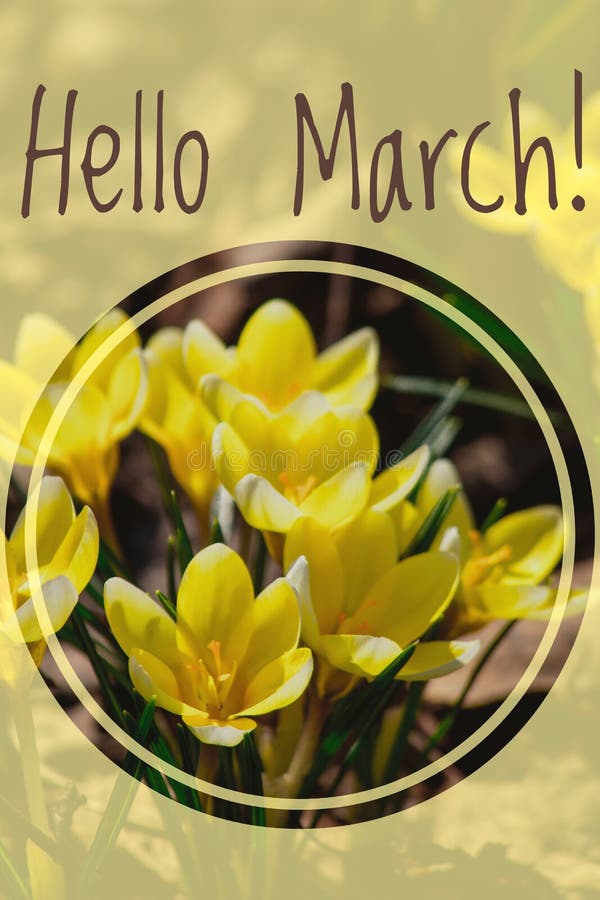 Greeting Card Hello March Welcome Card the Beginning of Spring Stock ...