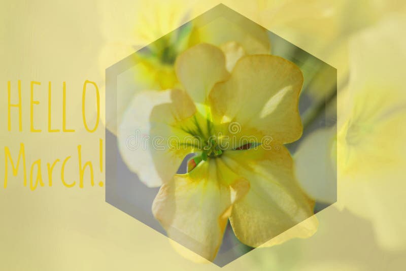 Greeting Card Hello March Welcome Card the Beginning of Spring Stock ...