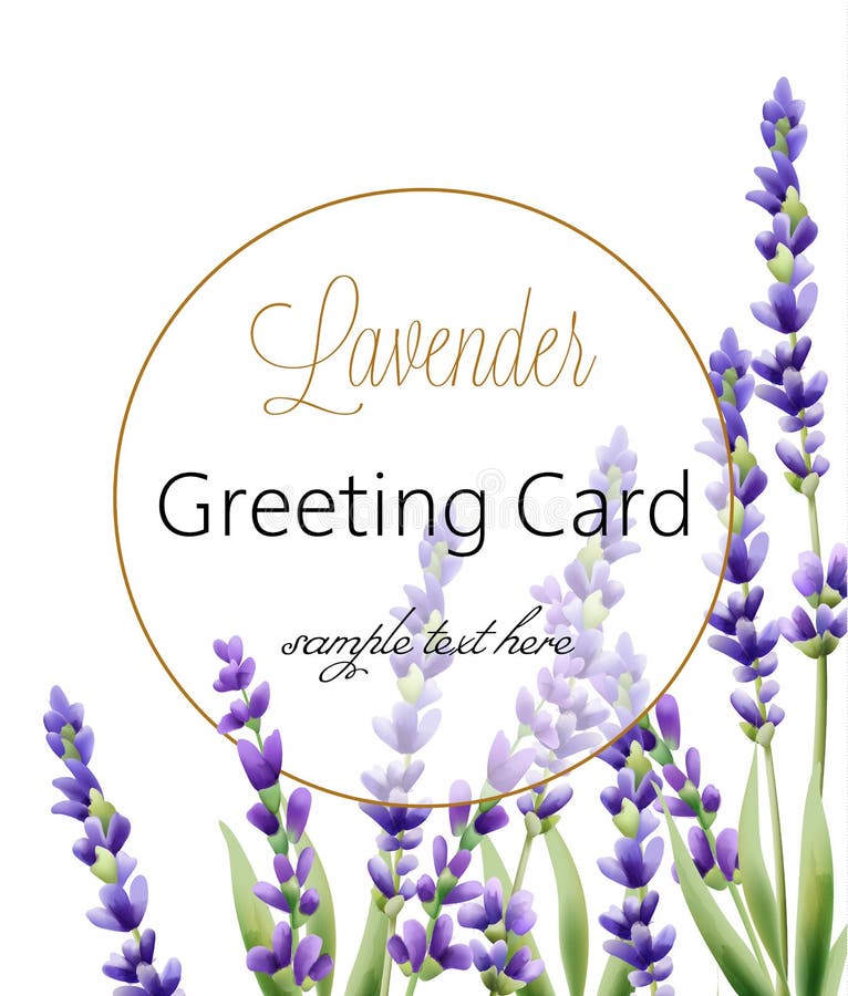 Greeting Card with Lavender Flowers and Place for Text Stock Vector ...