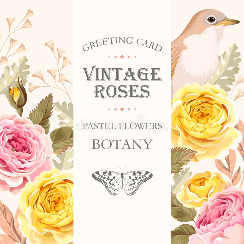 Greeting card with roses stock vector. Illustration of elegant - 79750663