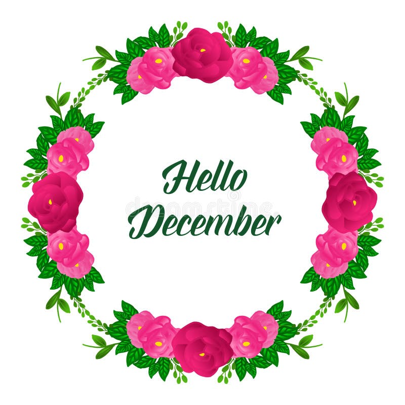 Greeting Card Text of Hello December, with Sketch Pink Rose Flower ...