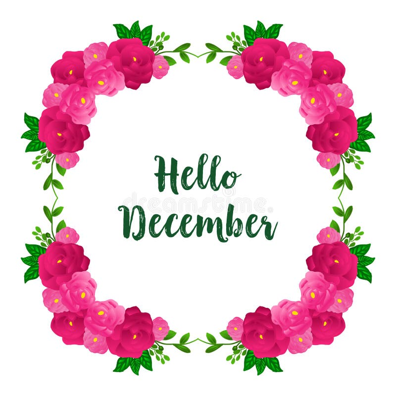 Greeting Card Text of Hello December, with Sketch Pink Rose Flower ...