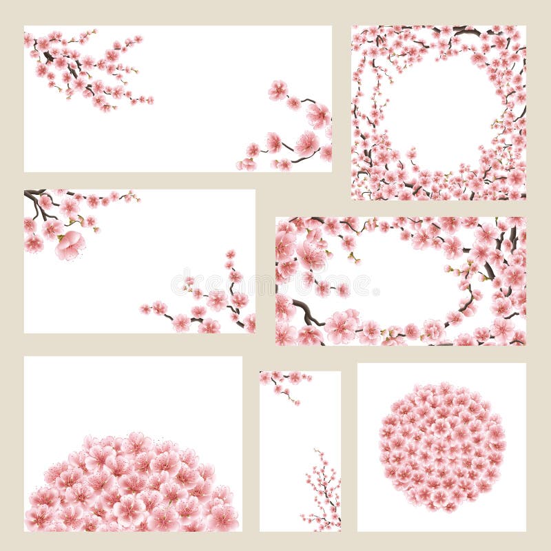 Greeting Cards Set with Sakura. EPS 10 Stock Vector - Illustration of ...