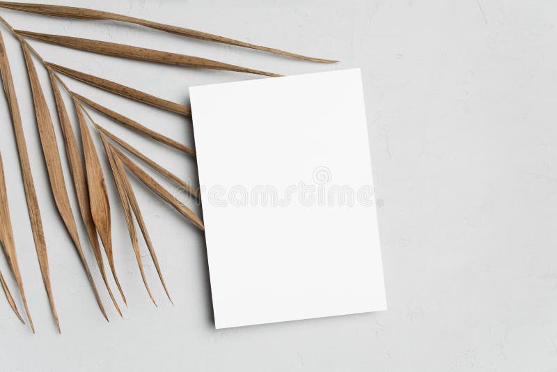 Greeting or Invitation Card Mockup with Natural Palm Leaf Stock Photo ...