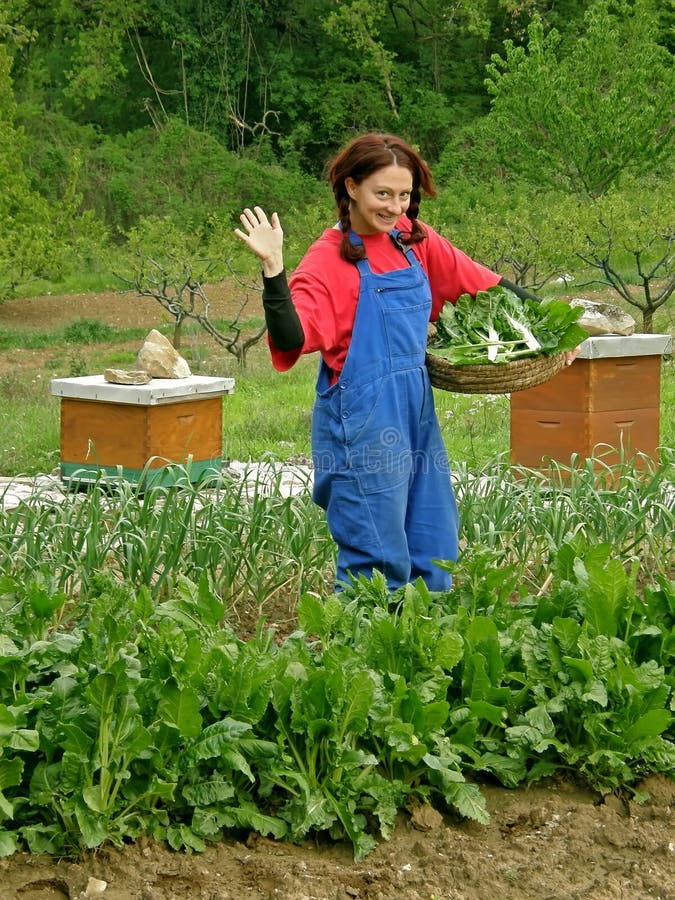 Greetings from the Rural Woman with Baskets Chard Stock Photo - Image ...