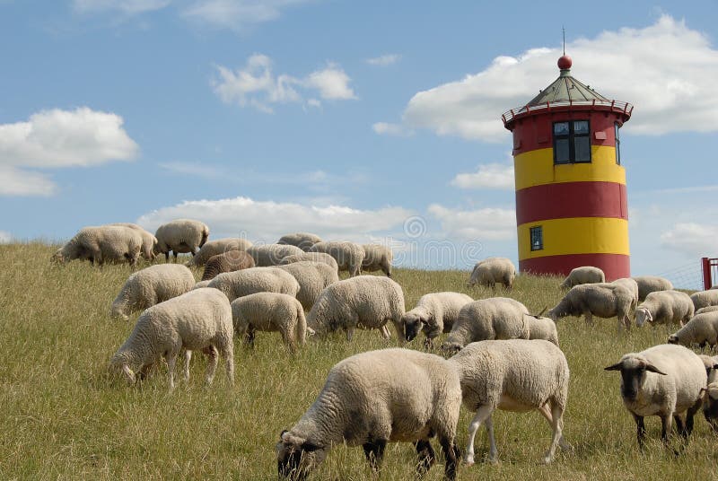 Greetsiel and the Krummhoern Stock Image - Image of windmill, frisia ...