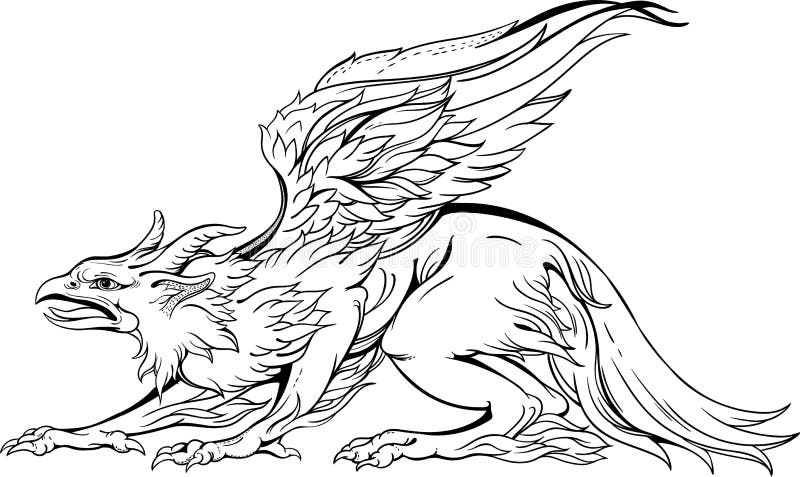 Greif, Großaufnahme, Schwarzweiss Vektor Abbildung - Illustration von ...