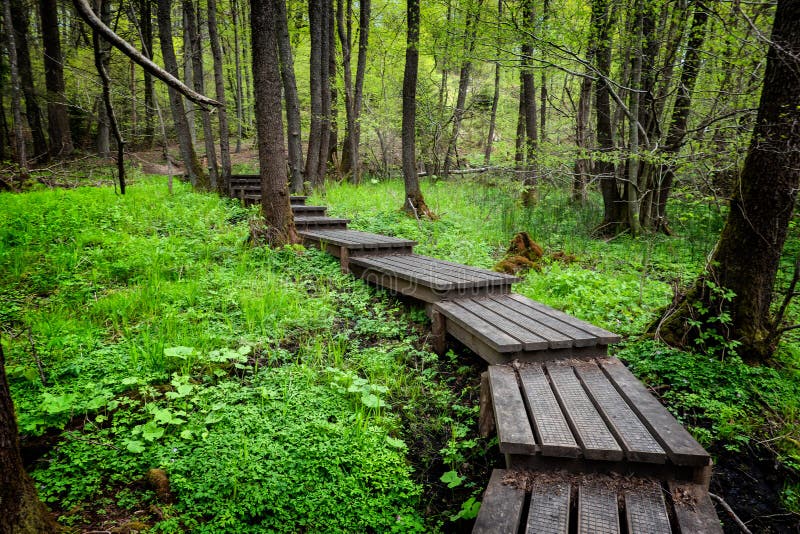 Grejsdalen Footpath in the Wilderness, Denmark Stock Photo - Image of ...
