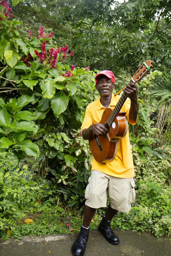 Grenada, El Caribe, Guitarrista Foto de archivo editorial - Imagen de ...