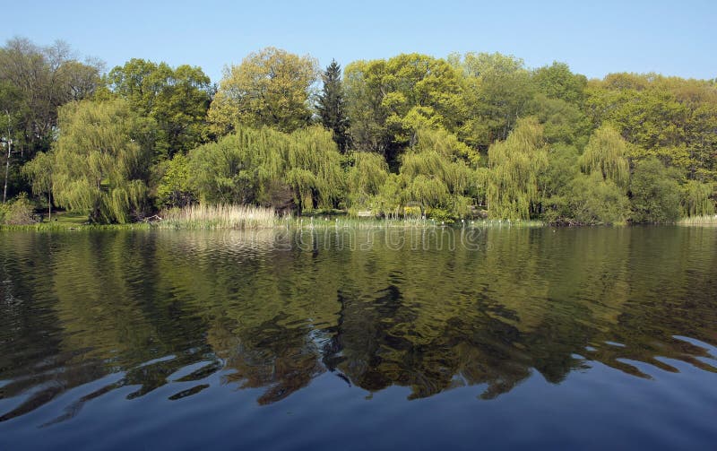 The Grenadier Pond, at High Park, in Toronto, Ontario. Stock Image ...