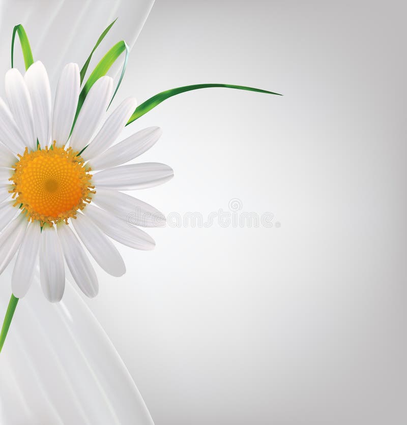 Grey Abstract Background with Daisy and Grass Stock Illustration ...