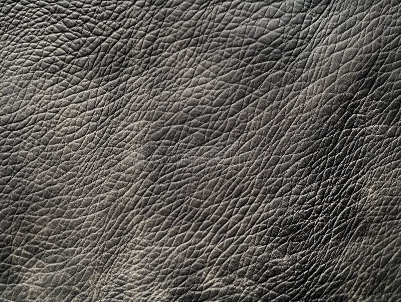 Grey Ai Generated Non Personalized Leather Close-up View with Silver ...