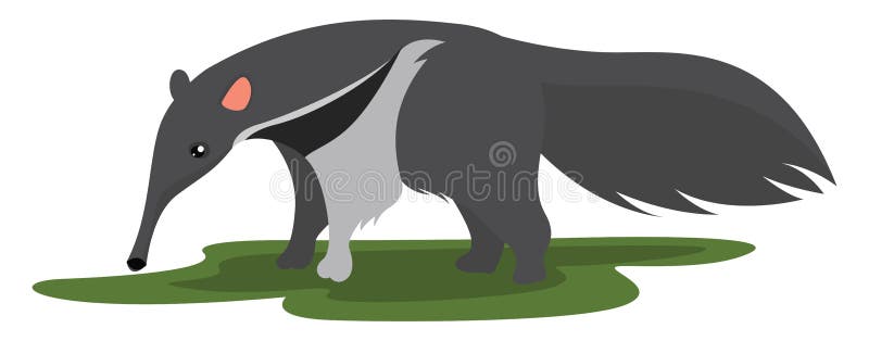 Grey Ant Eater, Illustration, Vector Stock Vector - Illustration of ...