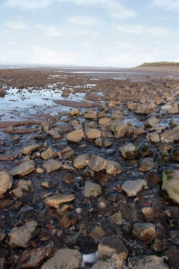 Grey Beach Boulders and Rocks Stock Photo - Image of shannon, holiday ...
