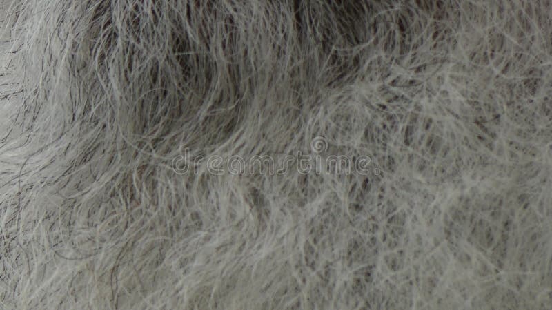 White Beard Texture Beard Balm, Beard Care American Crew