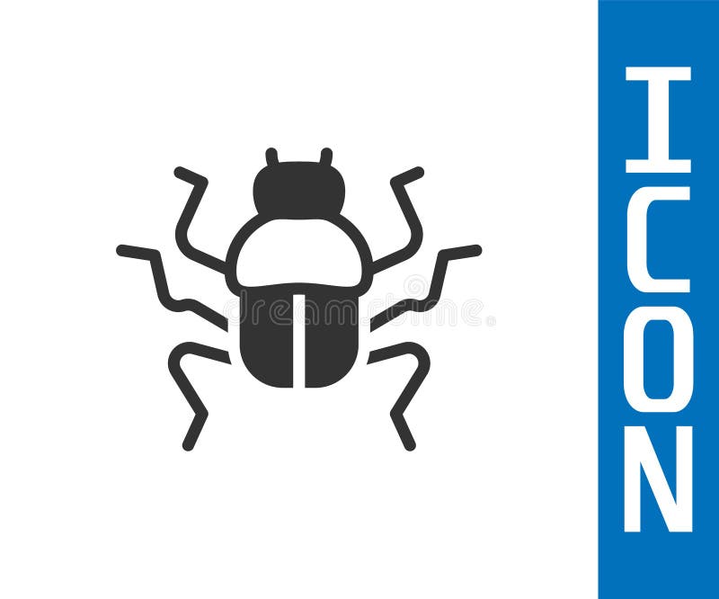 Grey Beetle Bug Icon Isolated on White Background. Vector Stock Vector ...