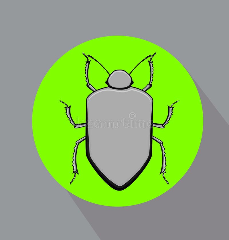 Beetle Bug stock vector. Illustration of bloodsucker - 94294941