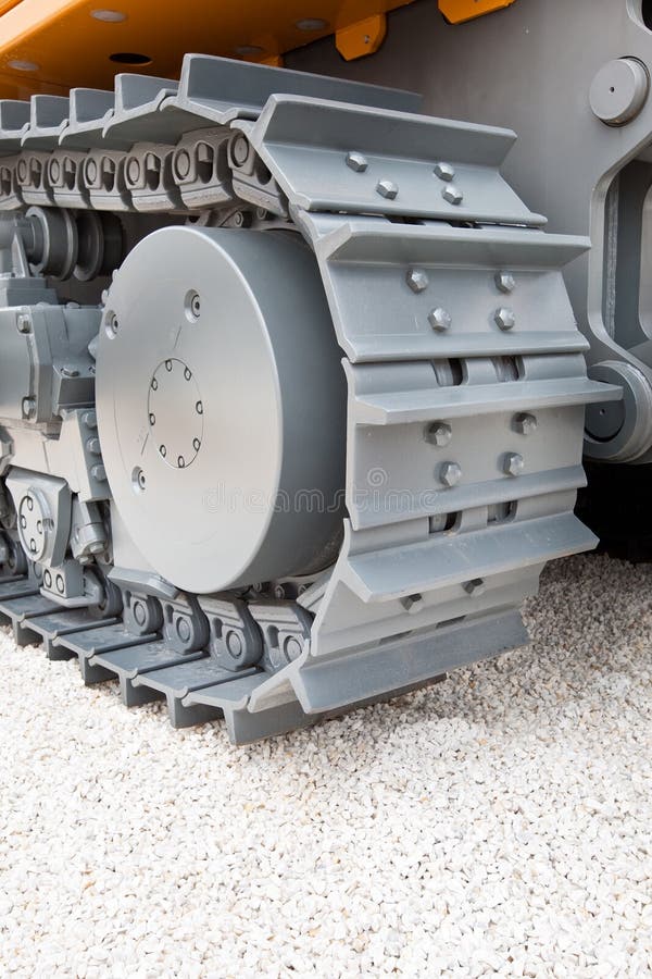 Grey Digger Squirrel stock photo. Image of beecheyi, holding - 19917792