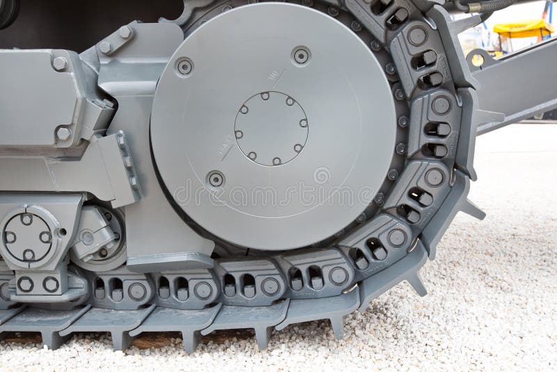 Grey Digger Squirrel stock photo. Image of beecheyi, holding - 19917792