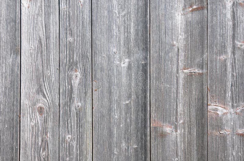Grey boards stock photo. Image of wooden, wall, gray - 47488416