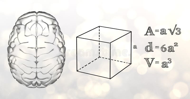 Grey Brain and Black Math Graphics Against White Bokeh Stock ...