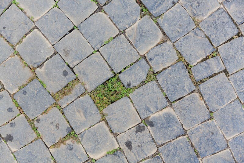 Grey Brick Floor in Curve Shape Stock Photo - Image of weathered, stone ...