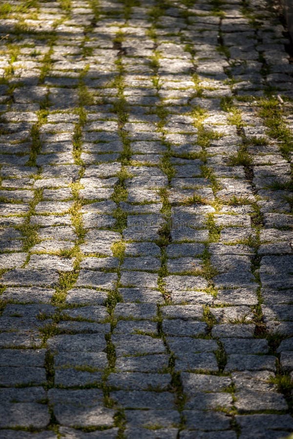 Grey Brick Path with Grass between Bricks Stock Photo - Image of peace ...