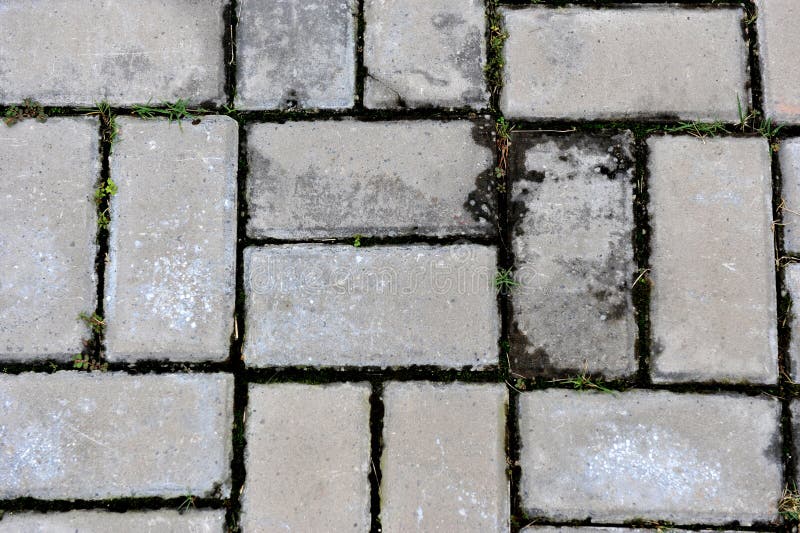 Grey bricks stock photo. Image of lines, designs, dense - 15003872