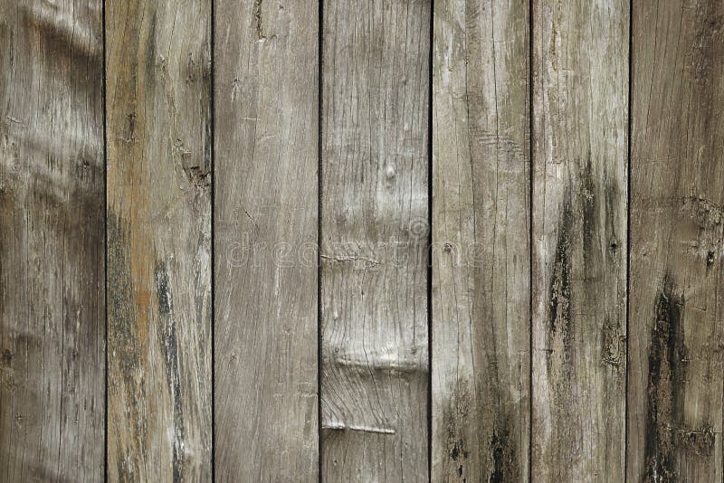 Grey Brown Weathered Wood Texture Stock Image - Image of rough, timber ...