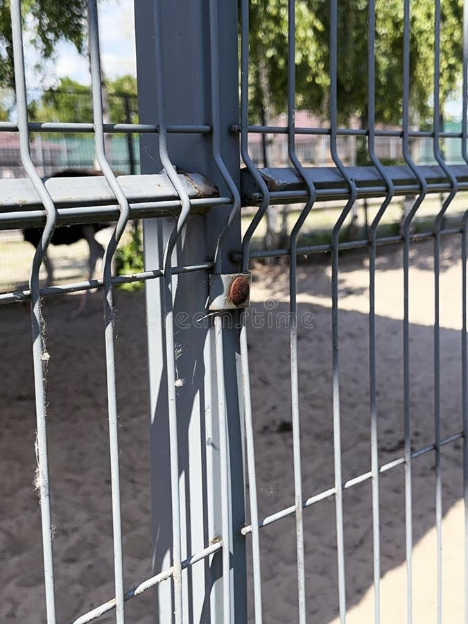 Grey cage for safe stock photo. Image of enclosure, element - 369862600