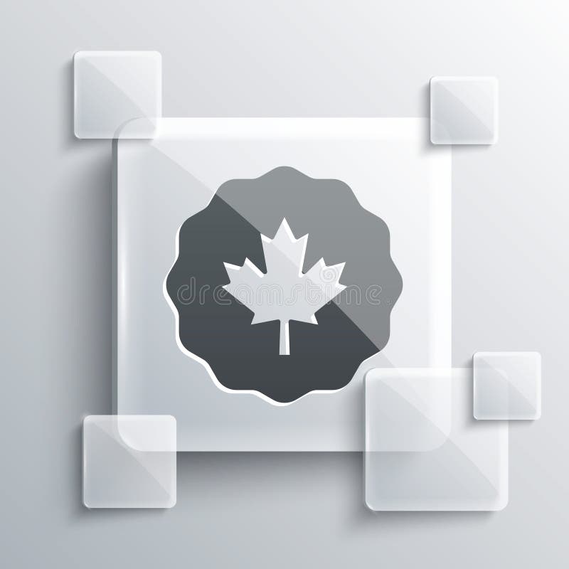 Grey Canadian Maple Leaf Icon Isolated on Grey Background. Canada ...