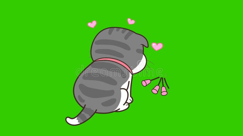 Grey Cat Playing with Spring Animation - Green Screen Stock Footage ...