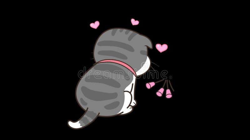 Grey Cat Playing with Spring Animation - Transparent Background Stock ...