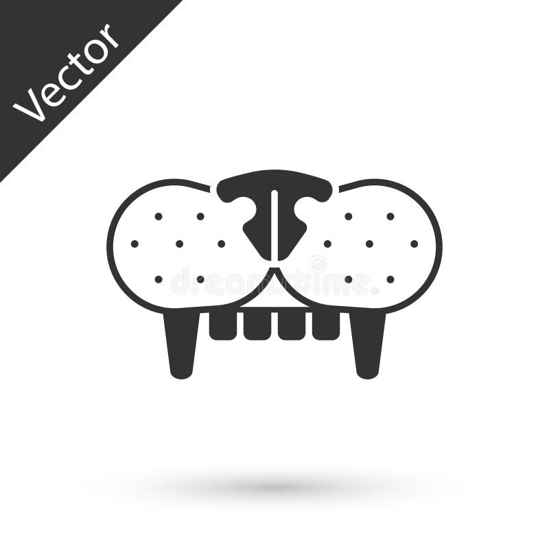 Beautiful Tooth White Stock Illustrations – 3,796 Beautiful Tooth White ...