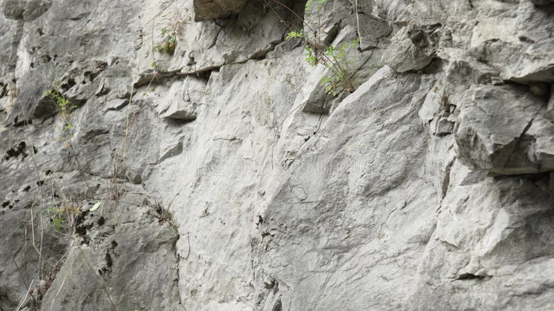 Grey Cliff Texture of Rough Mountain Surface Stock Video - Video of ...