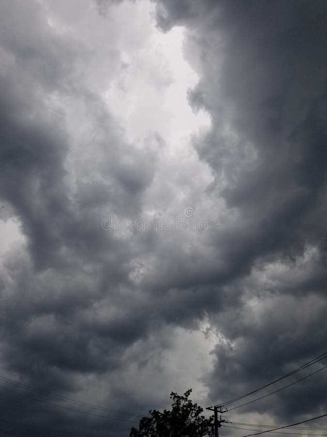 Grey Clouds Above the Trees before the Rain Stock Image - Image of rain ...