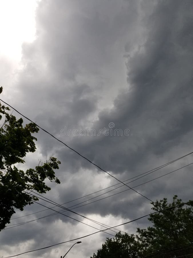 Grey Clouds Above the Trees before the Rain Stock Photo - Image of ...
