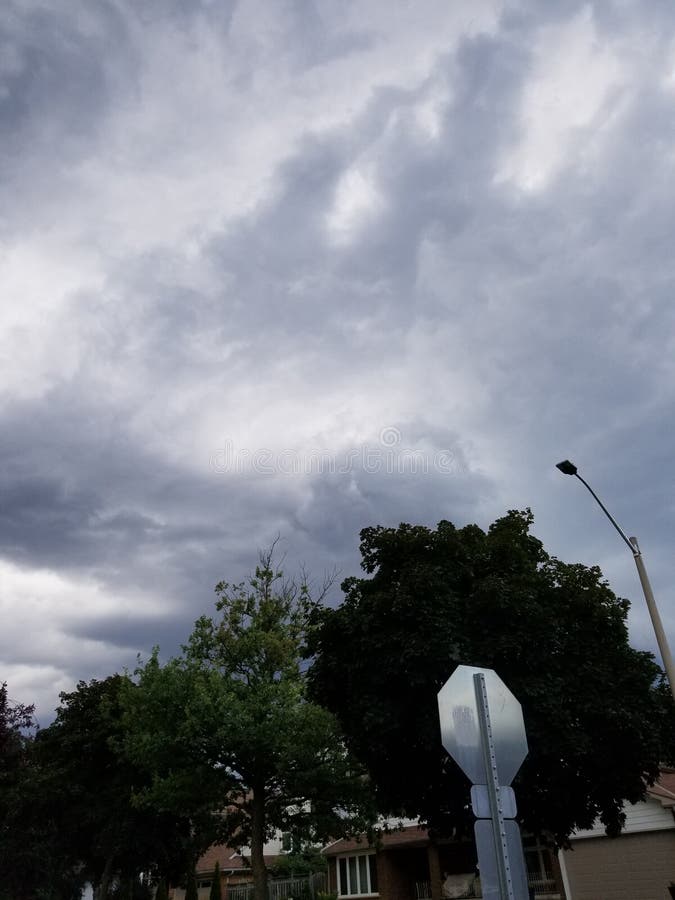 Grey Clouds Above the Trees before the Rain Stock Image - Image of rain ...