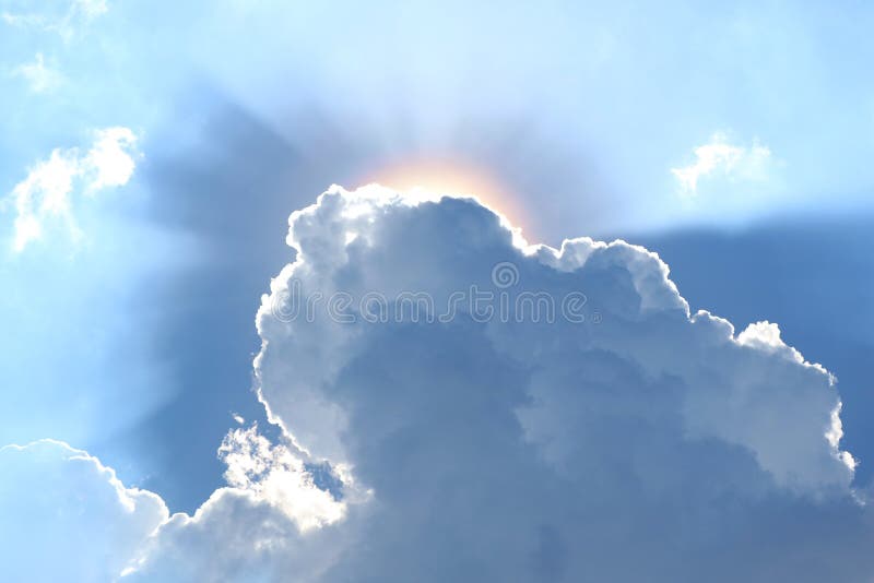 The Dazzling Sun Shining through the Big Tree Over Small Pavilion in ...