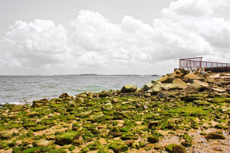 Grey coast stock image. Image of beautiful, outdoors - 12984909