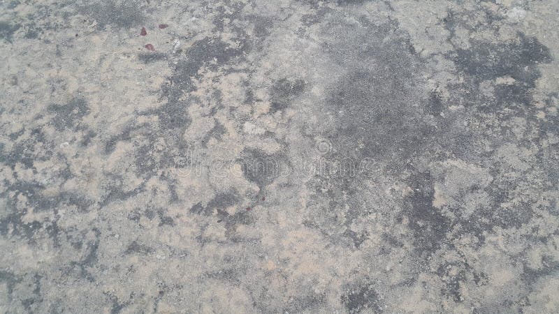 Grey Color Floor Abstract Background with Space for Text or Image Stock ...