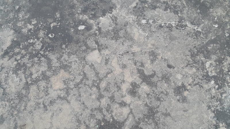 Grey Color Floor Abstract Background with Space for Text or Image Stock ...