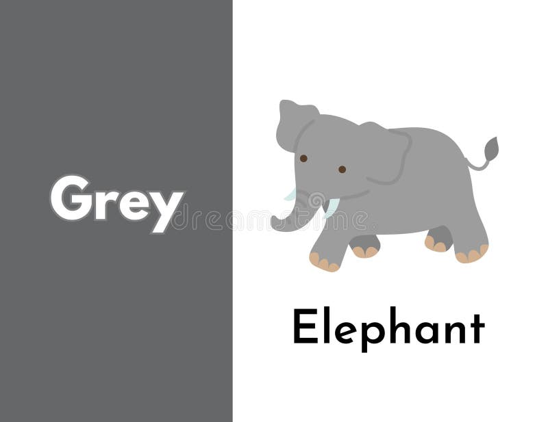 Grey Color Picture with Example Elephant Grey Color, Kids Learning - 1 ...