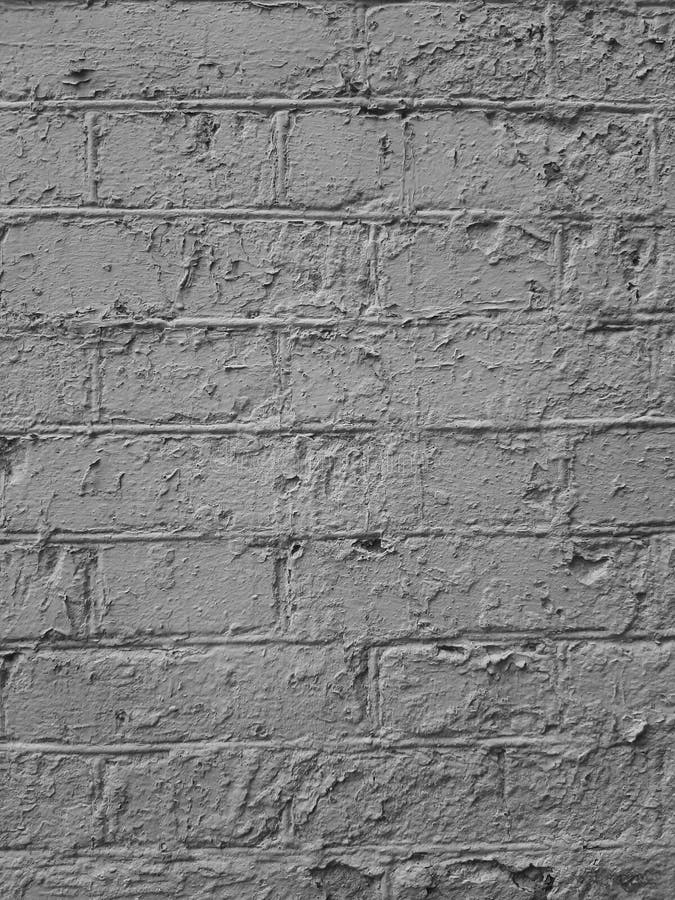 Grey colored bricks stock photo. Image of wall, bricks - 229504184