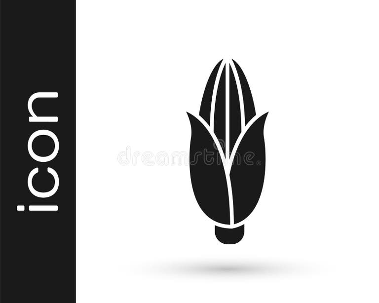 Grey Corn Icon Isolated on White Background. Vector Illustration Stock ...