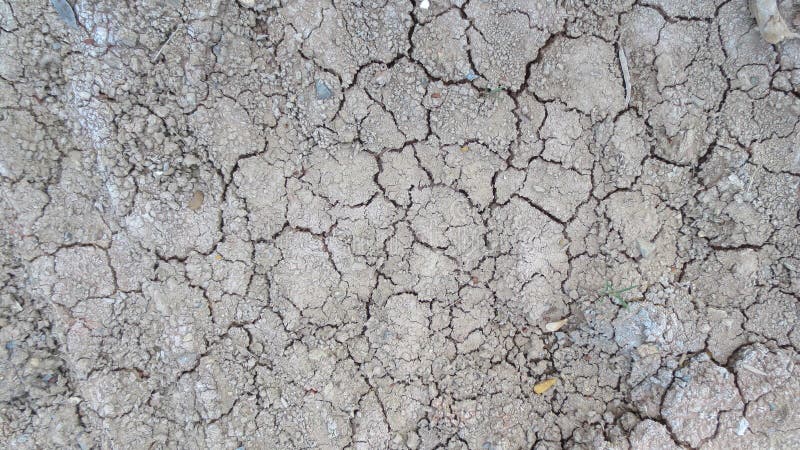 Grey Crack of Dried Soil Background Stock Photo - Image of ground ...